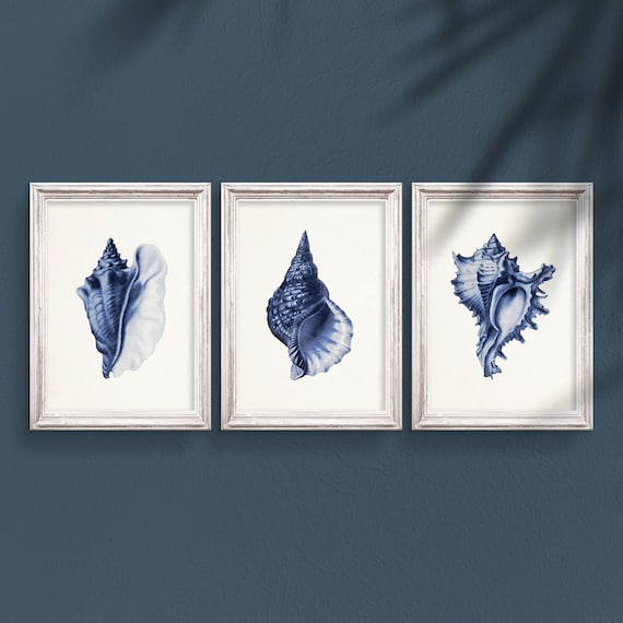 Shell Print Set Set of 3 Print Nautical Prints Set Navy - Etsy