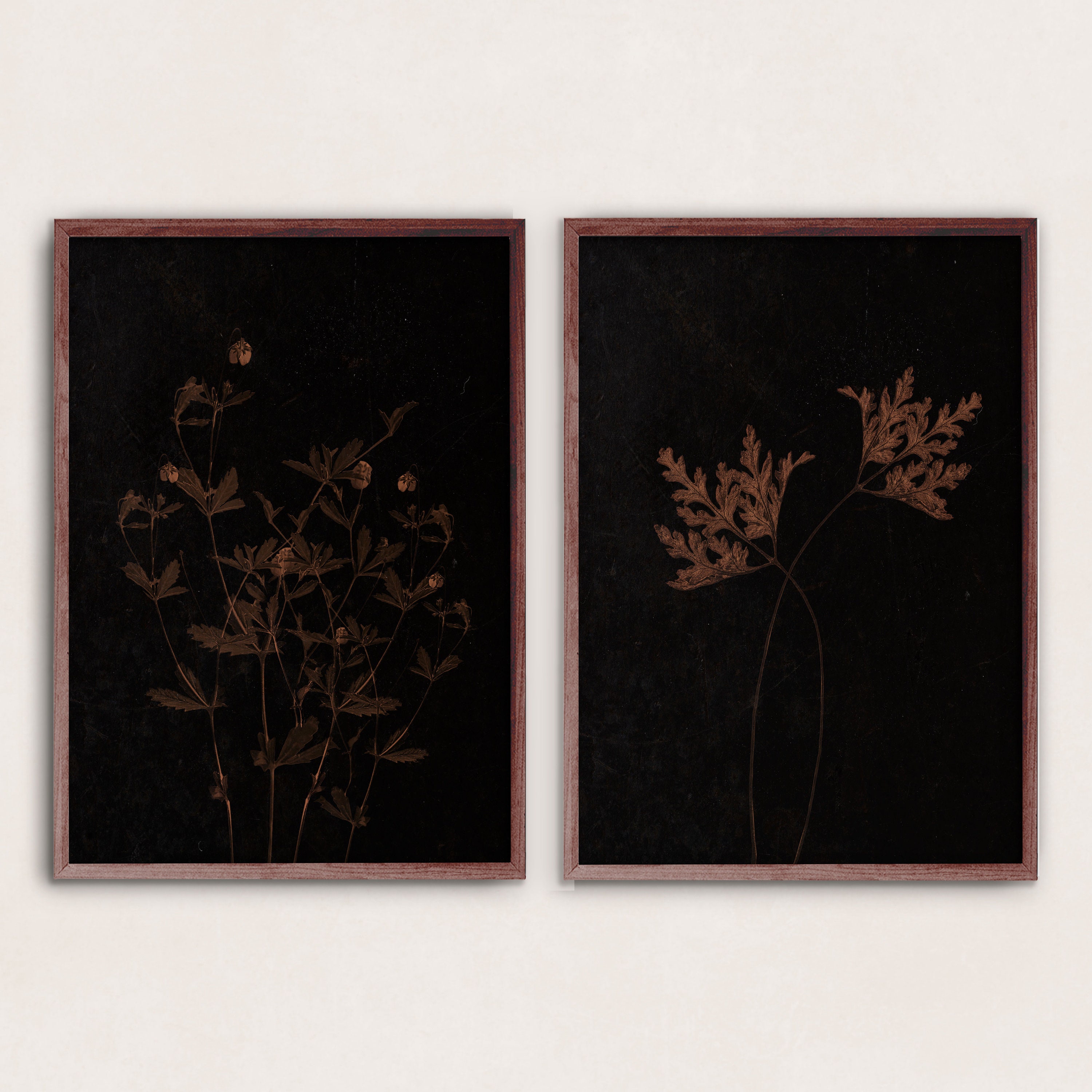 Black Botanical Print Fern Wall Art Dark Botanical Print | Etsy