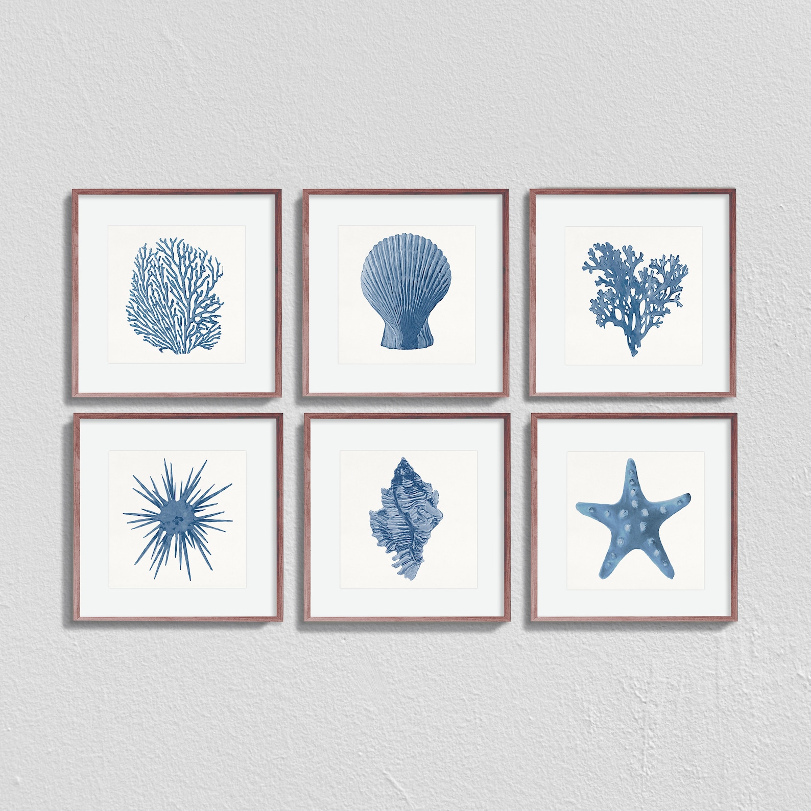 Blue Coral Print Shell Print Nautical Art Prints Coastal | Etsy