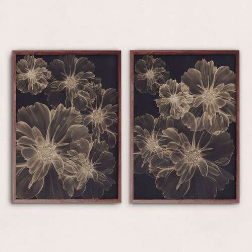 Dark Botanical Print Black Flower Print Dark Floral Wall - Etsy