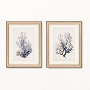 Coral Gallery Wall, Nautical Prints, Set of 2 Prints, Coral Wall Art ...