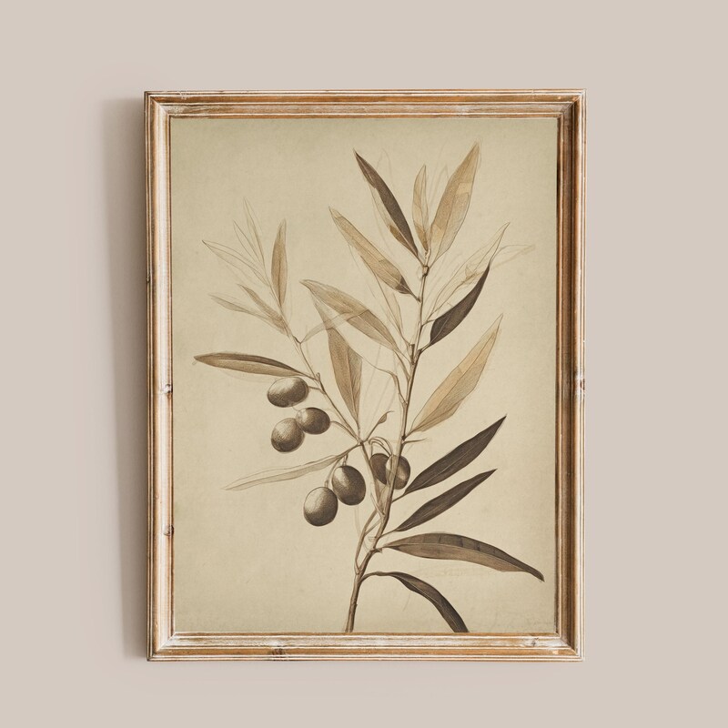 Olive Branch - Etsy