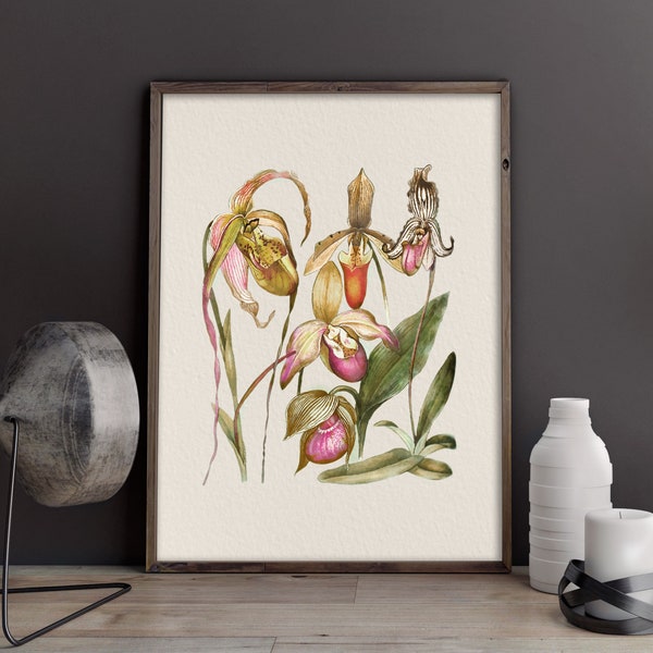 Orchid Wall Art - Etsy
