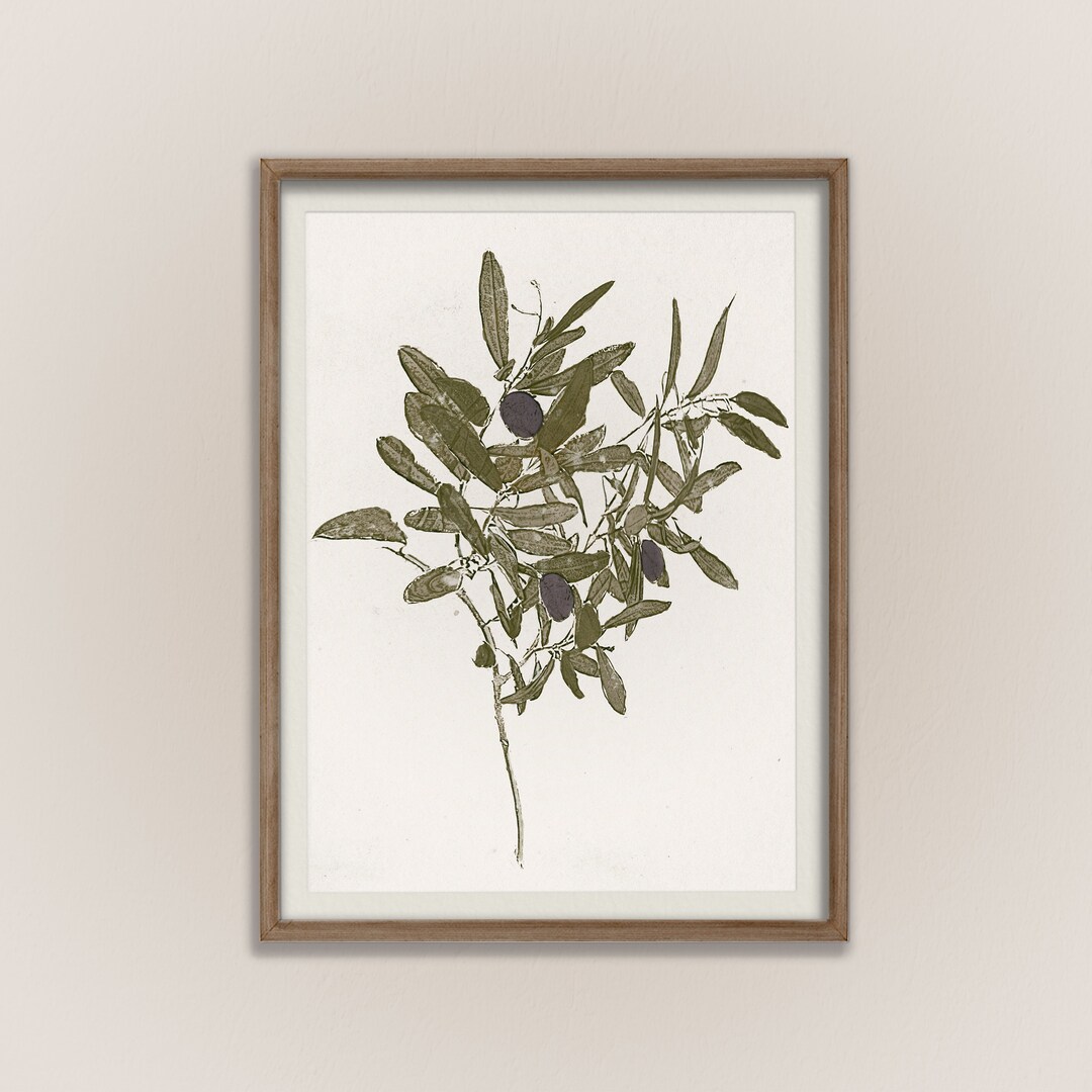 Olive Branch Print, Green Leaves Print, Vintage Botanical, Olive Wall ...