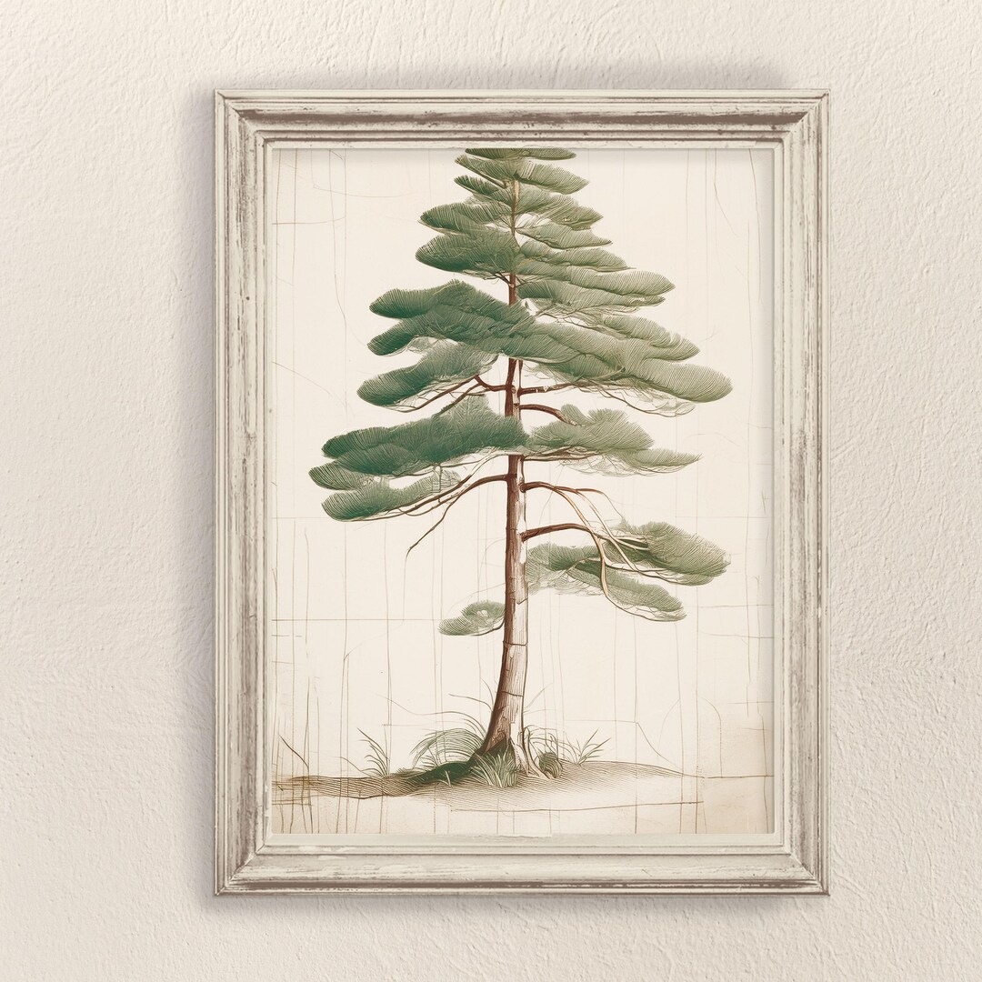Pine Tree Art Print, Evergreen Tree Printable, Christmas Pine Tree Wall ...