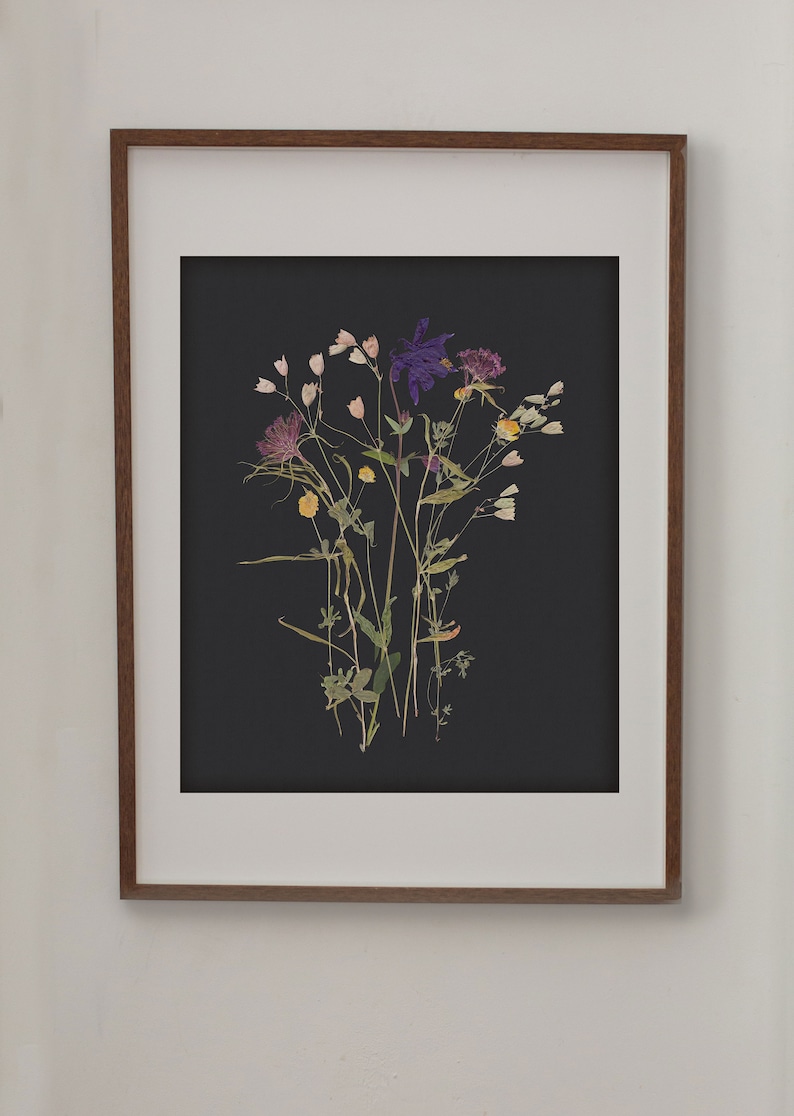 Pressed Flower Art Wildflower Print Dried Flowers Print - Etsy