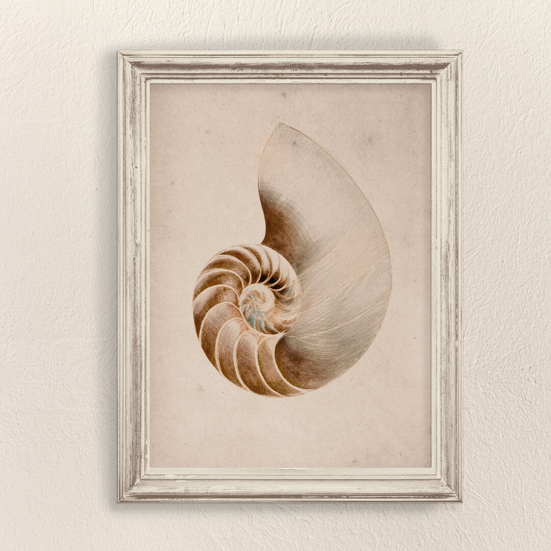Sea Shell Prints, Nautical Wall Art, Coastal Poster, Neutral Painting ...