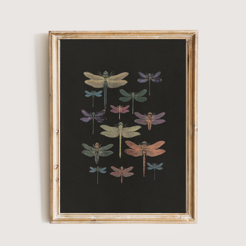 Dragonfly Art Print - Etsy