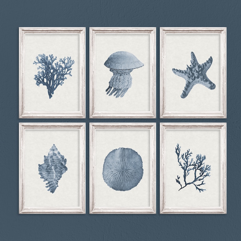 Sea Shell Print - Etsy