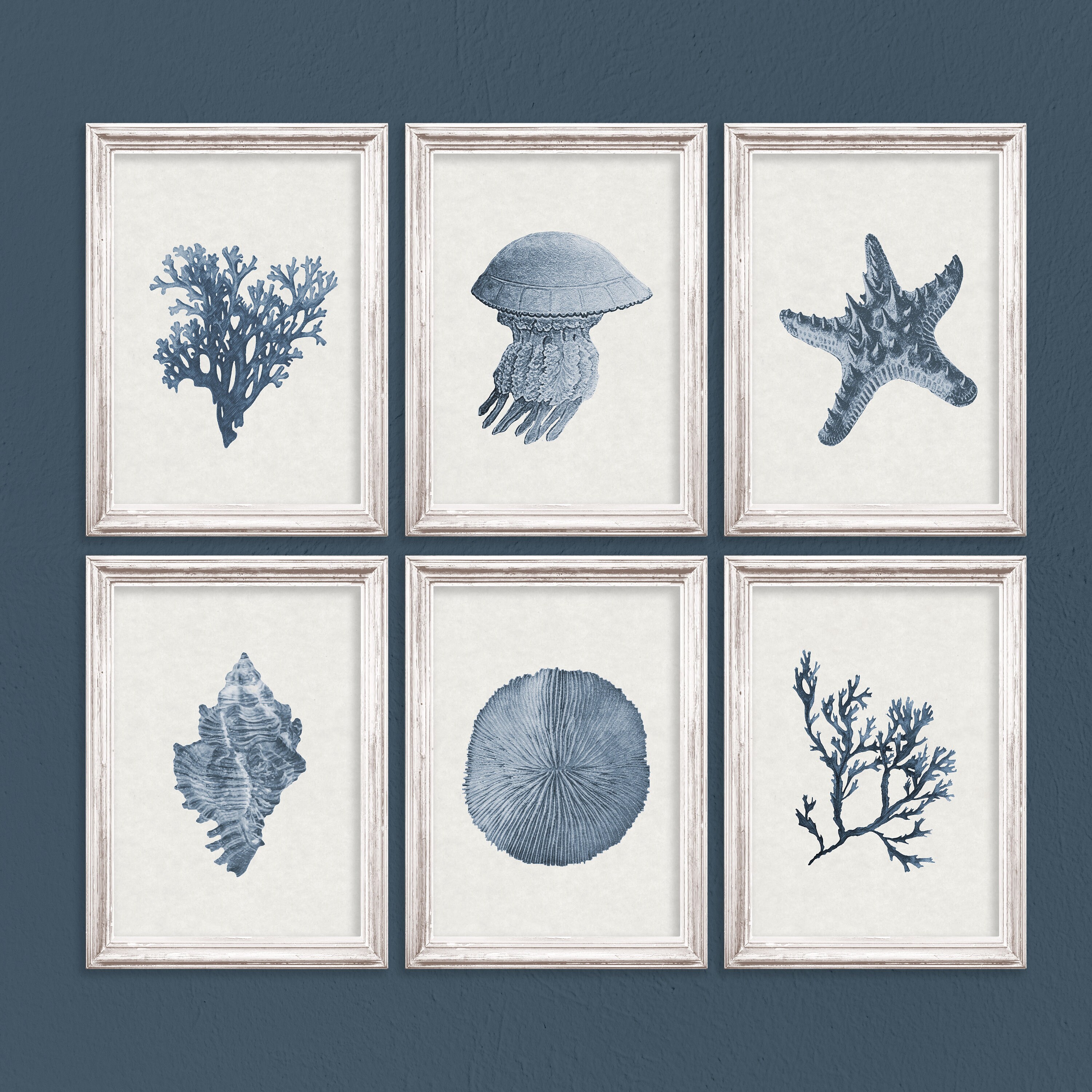 Nautical Wall Art Sea Shell Prints Gallery Wall Set Navy - Etsy