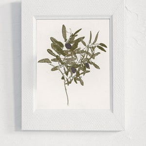 Olive Branch Print, Green Leaves Print, Vintage Botanical, Olive Wall ...