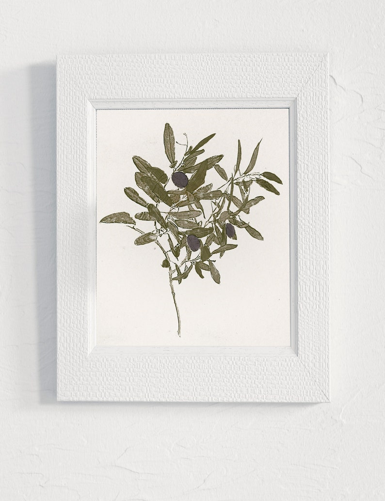Olive Branch Print Green Leaves Print Vintage Botanical | Etsy