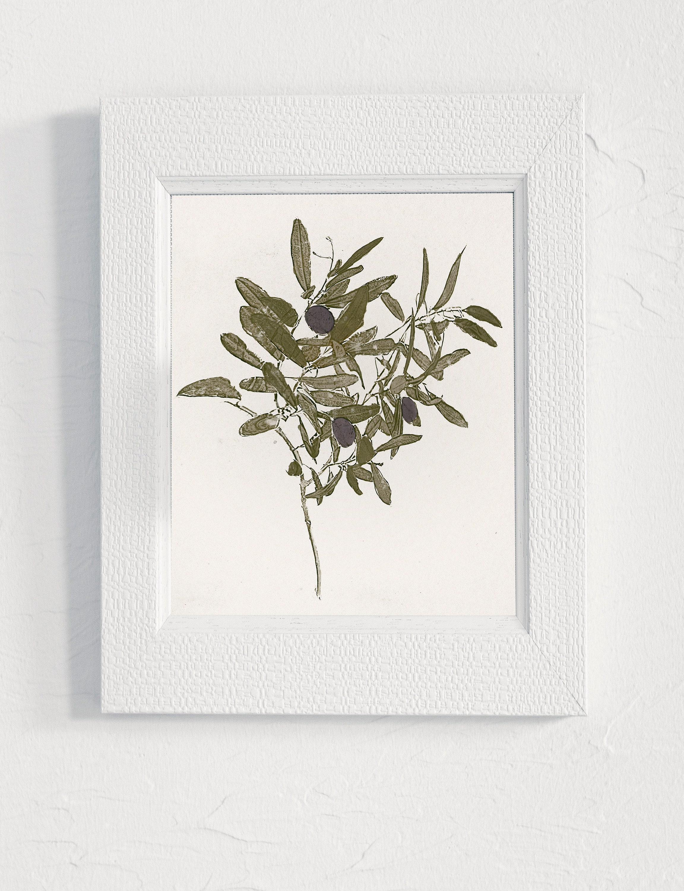 Olive Branch Print Green Leaves Print Vintage Botanical | Etsy