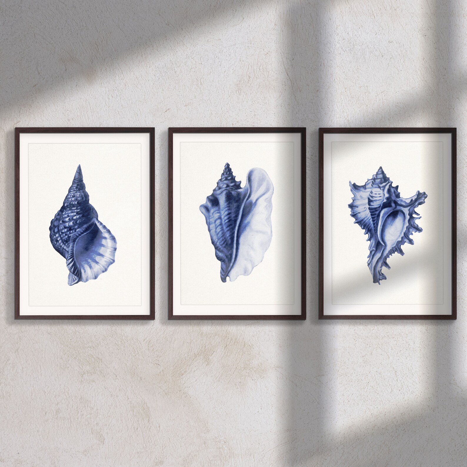 Shell Print Set Set of 3 Print Nautical Prints Set Navy - Etsy UK