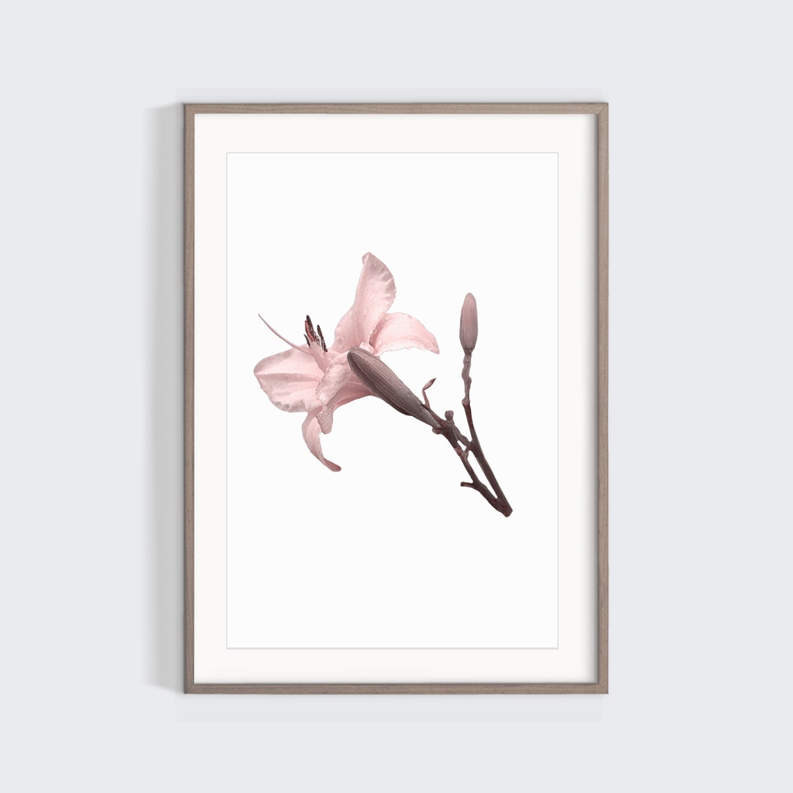 Lily Print Lily Wall Art Floral Art Flower Print Printable | Etsy