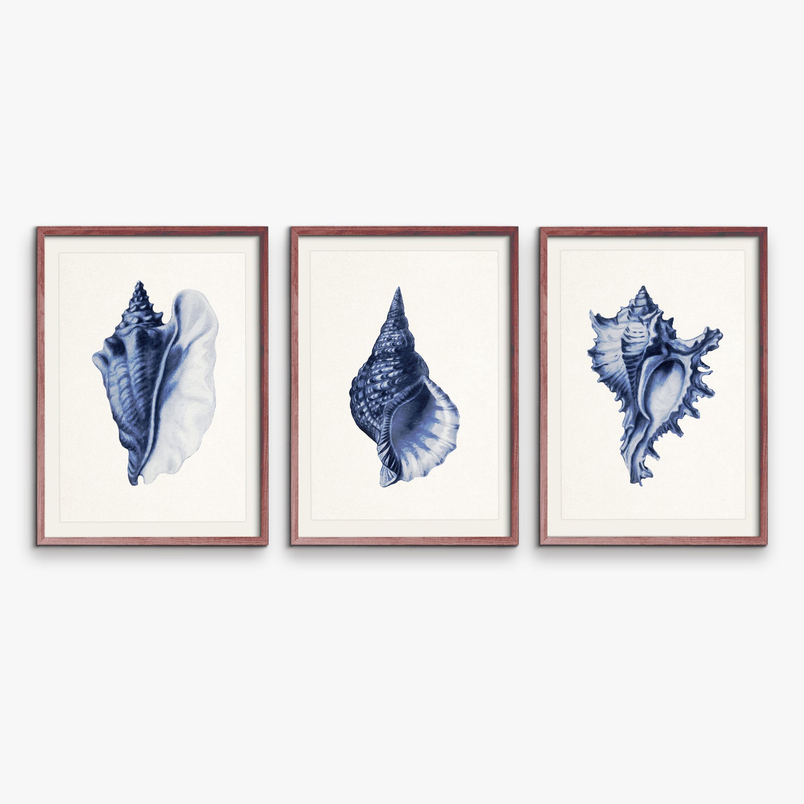 Shell Print Set Set of 3 Print Nautical Prints Set Navy - Etsy UK