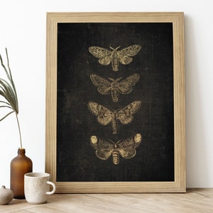 Vintage Moth Print: Butterfly Dark Botanical Wall Art (digital Download ...