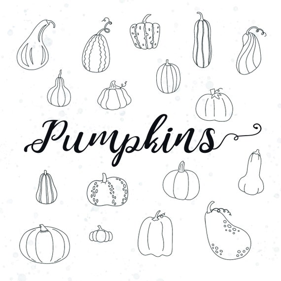 Hand Drawn Halloween Pumpkin Squash Doodle Vector Digital - Etsy