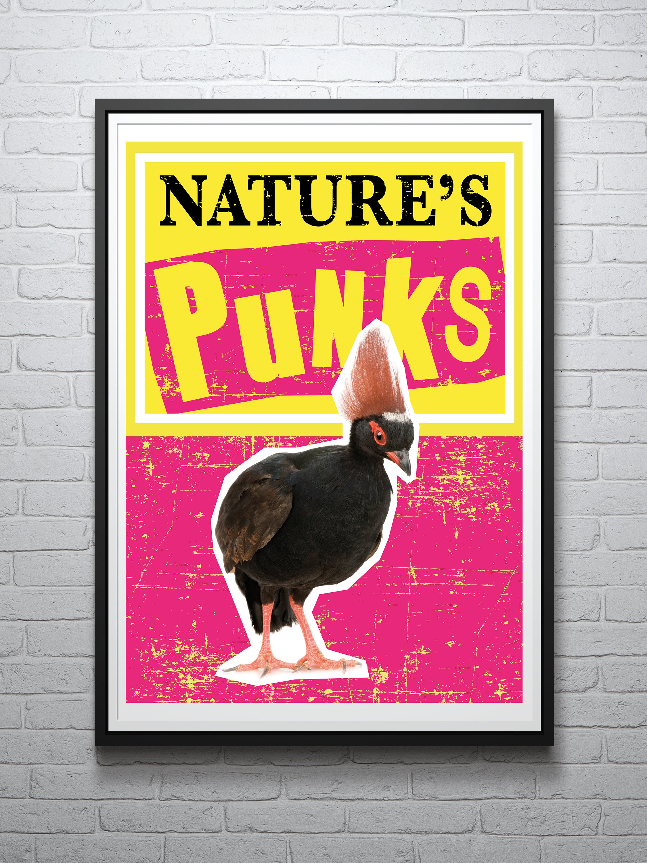Nature's Punks Poster Partridge - Etsy
