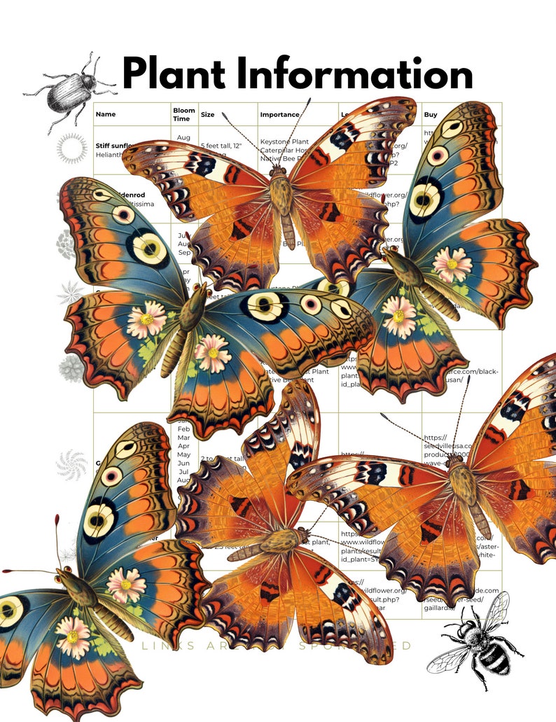 Attract More Pollinators, Plant List and Garden Plan - Etsy