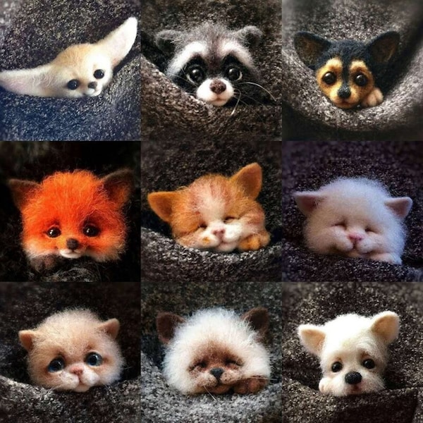 Needle Felting Kit - Etsy