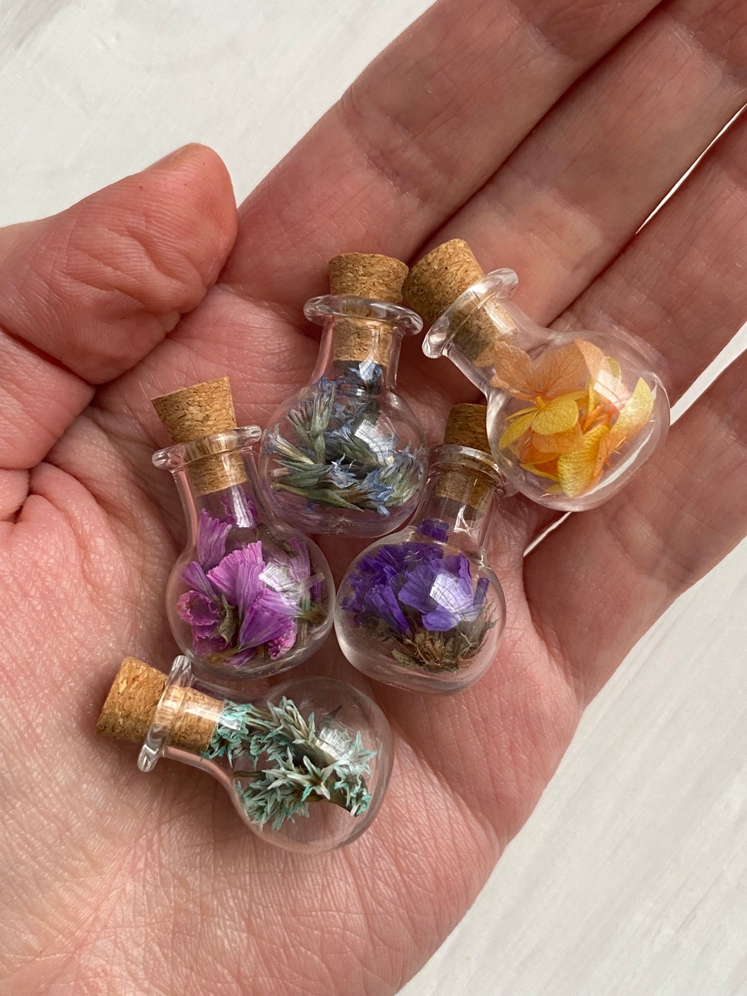 Miniature Herbarium Jars Dollhouse Miniature Jars With Tiny Dried ...