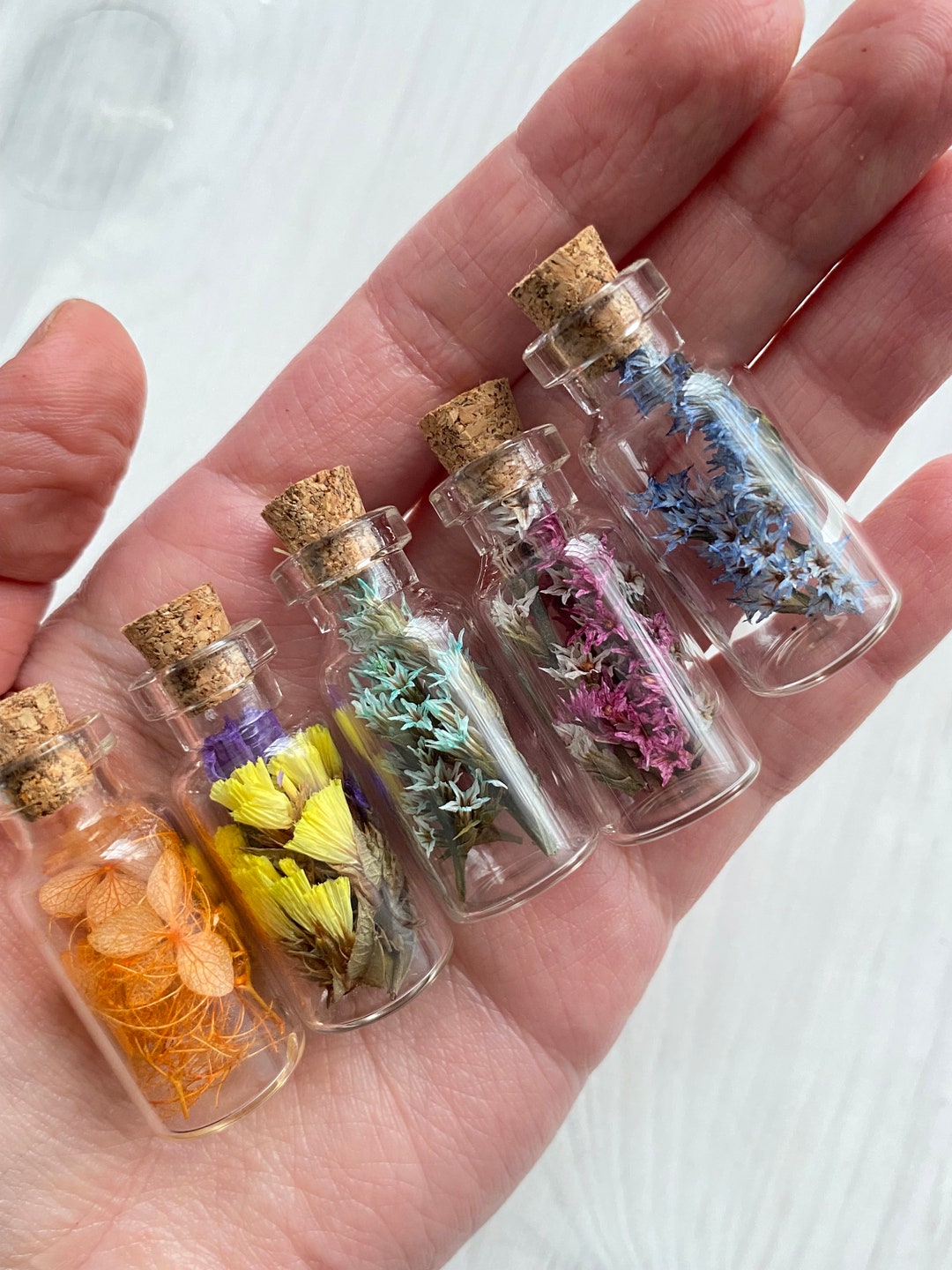 Miniature Herbarium Jars Dollhouse Miniature Jars With Tiny Dried ...