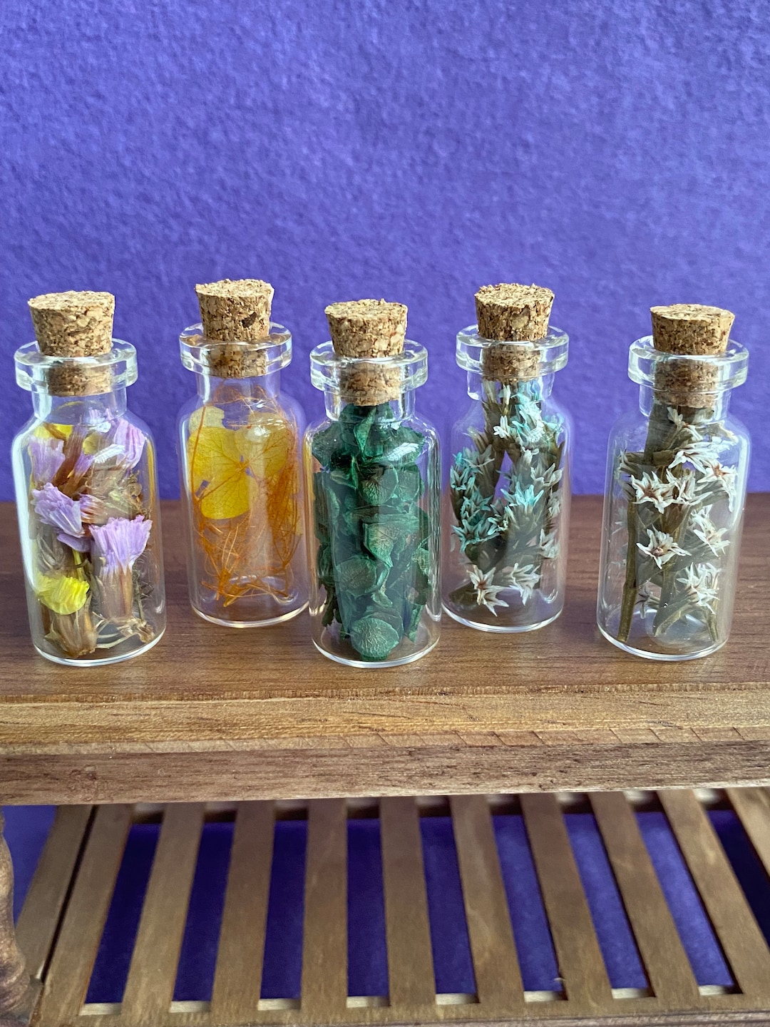 Miniature Herbarium Glass Jars Dollhouse Miniature Jars With Tiny Dried ...
