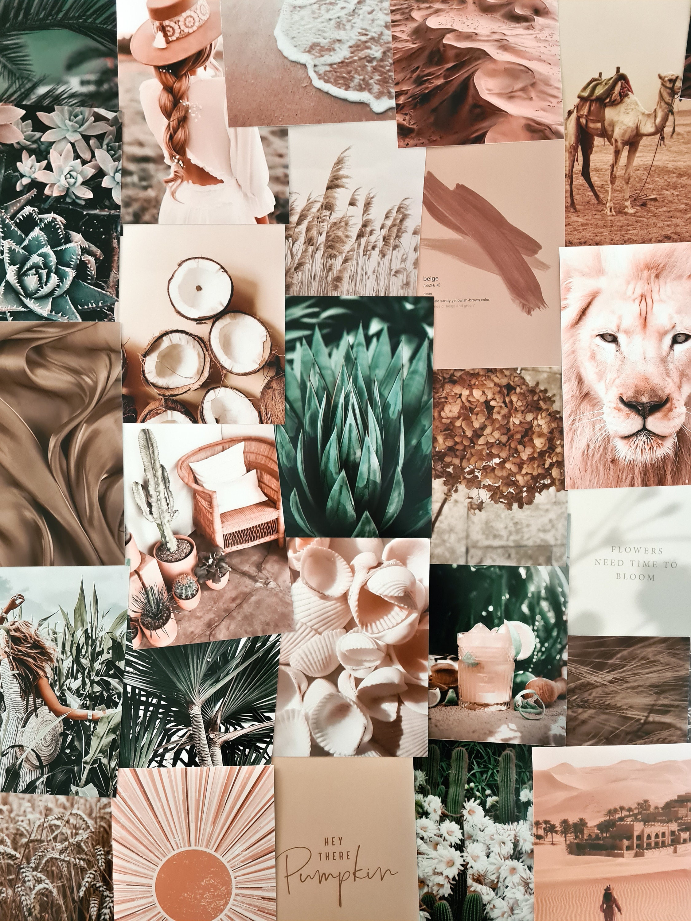 60 PCS Botanical Collage, Earth Collage, Boho Collage, Dorm Collage ...