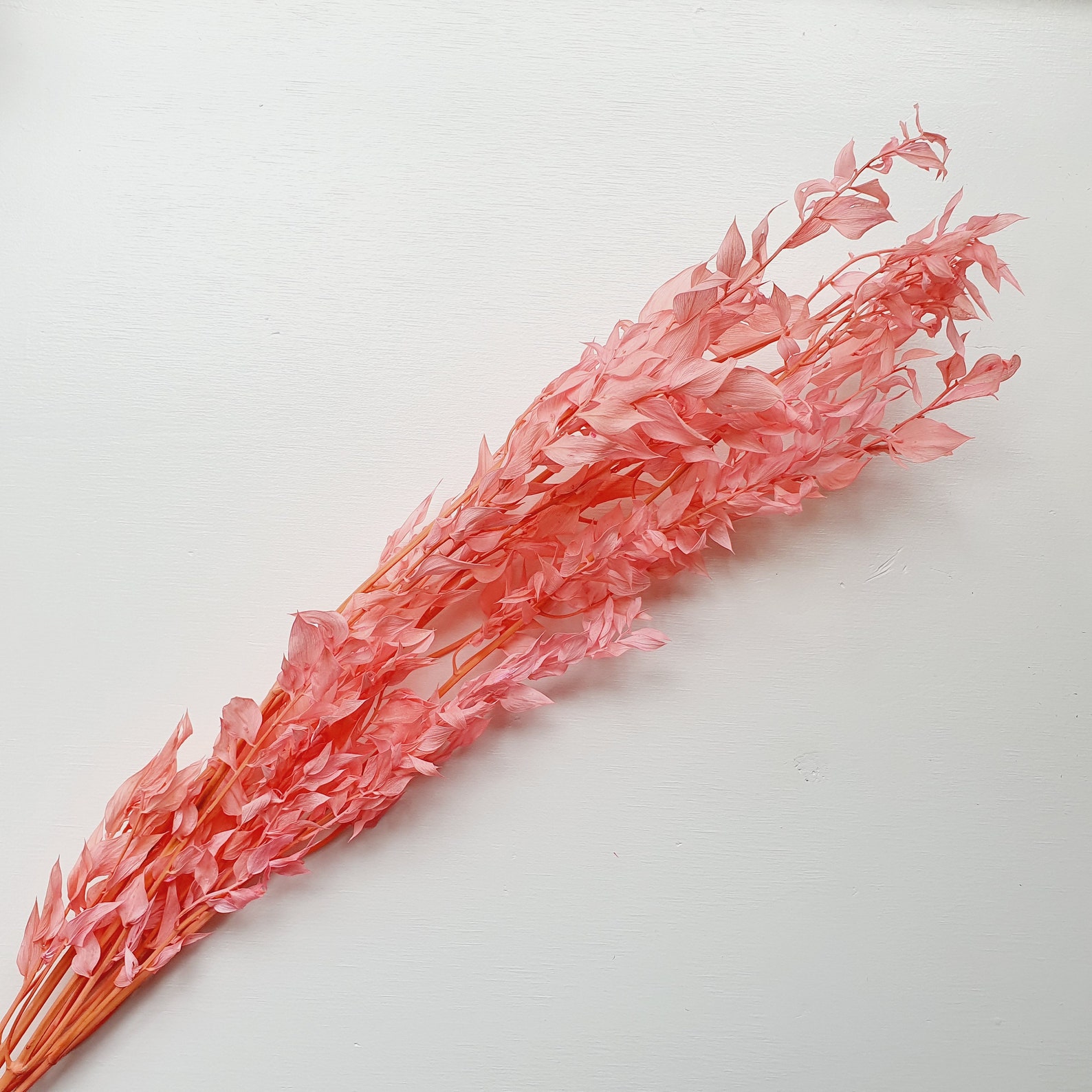 Light Pink Preserved Ruscus / Exotic Greenery Dried Wedding - Etsy