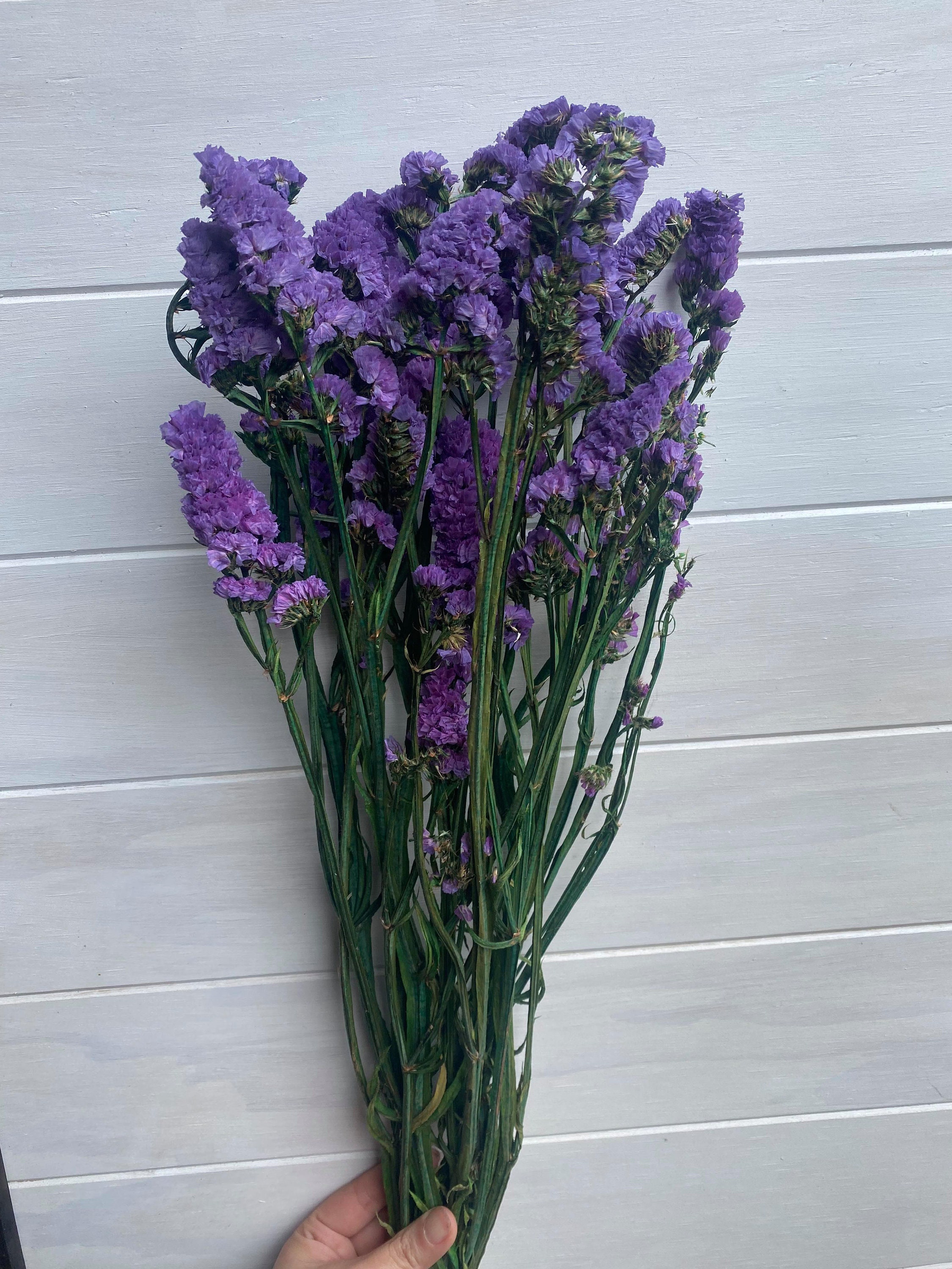 Preserved and Dried Deep Purple Statice / Dried Statice Flowers / Dried ...