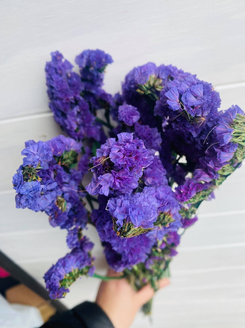 Preserved and Dried Deep Purple Statice / Dried Statice Flowers / Dried ...