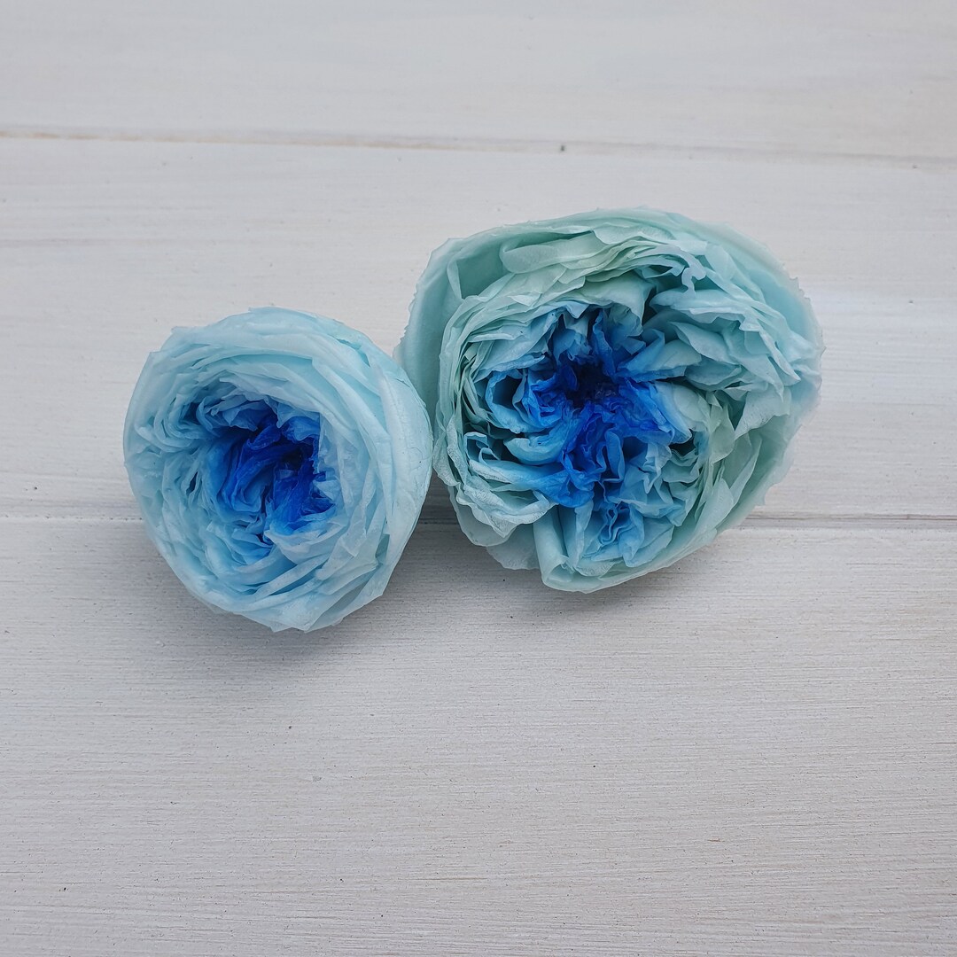 David Austin Preserved Everlasting Rose - Blue | Preserved Roses ...