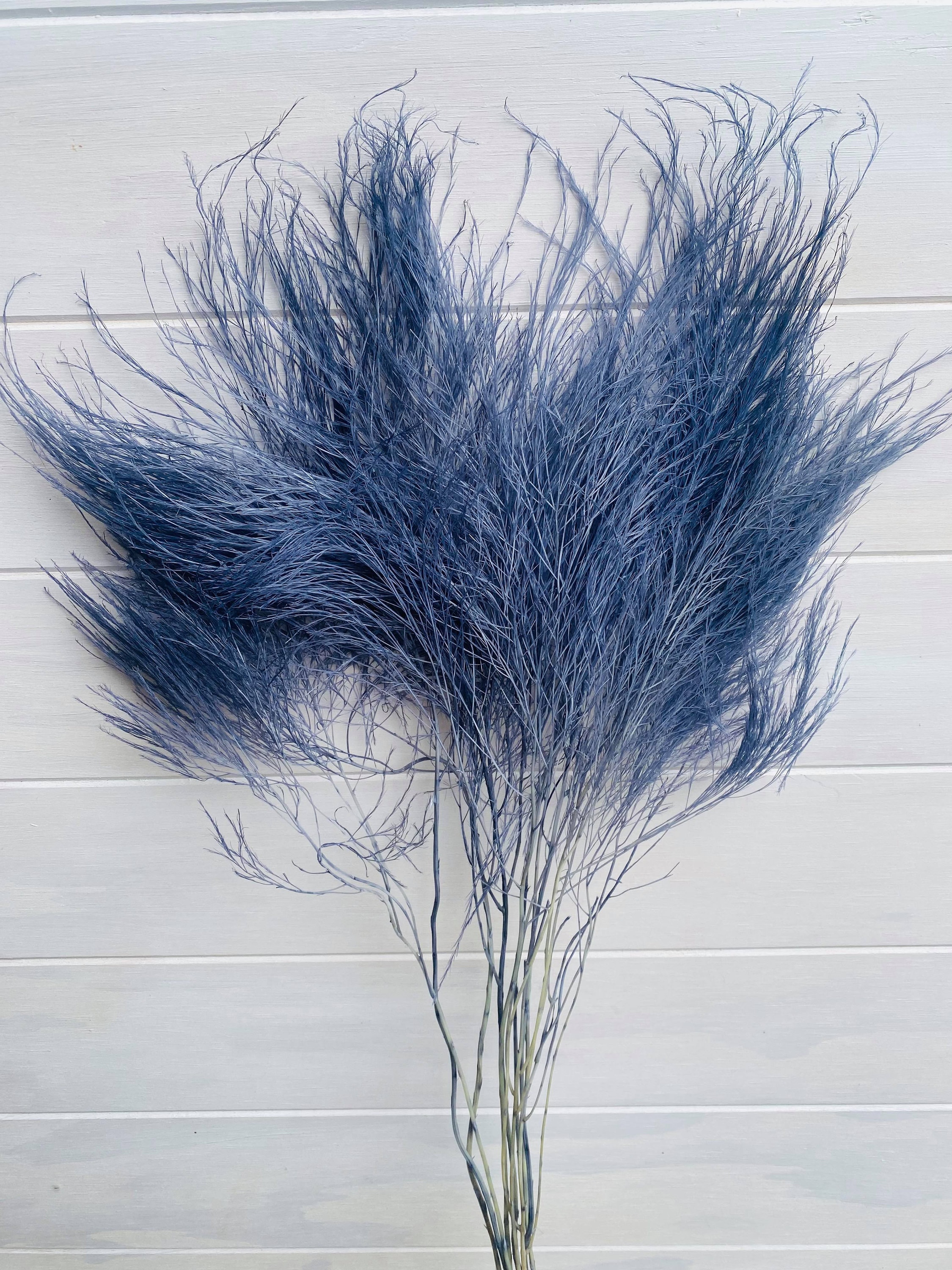 Gorgeous Blue Dried Tiki Fern Dried Flower Bunches - Etsy