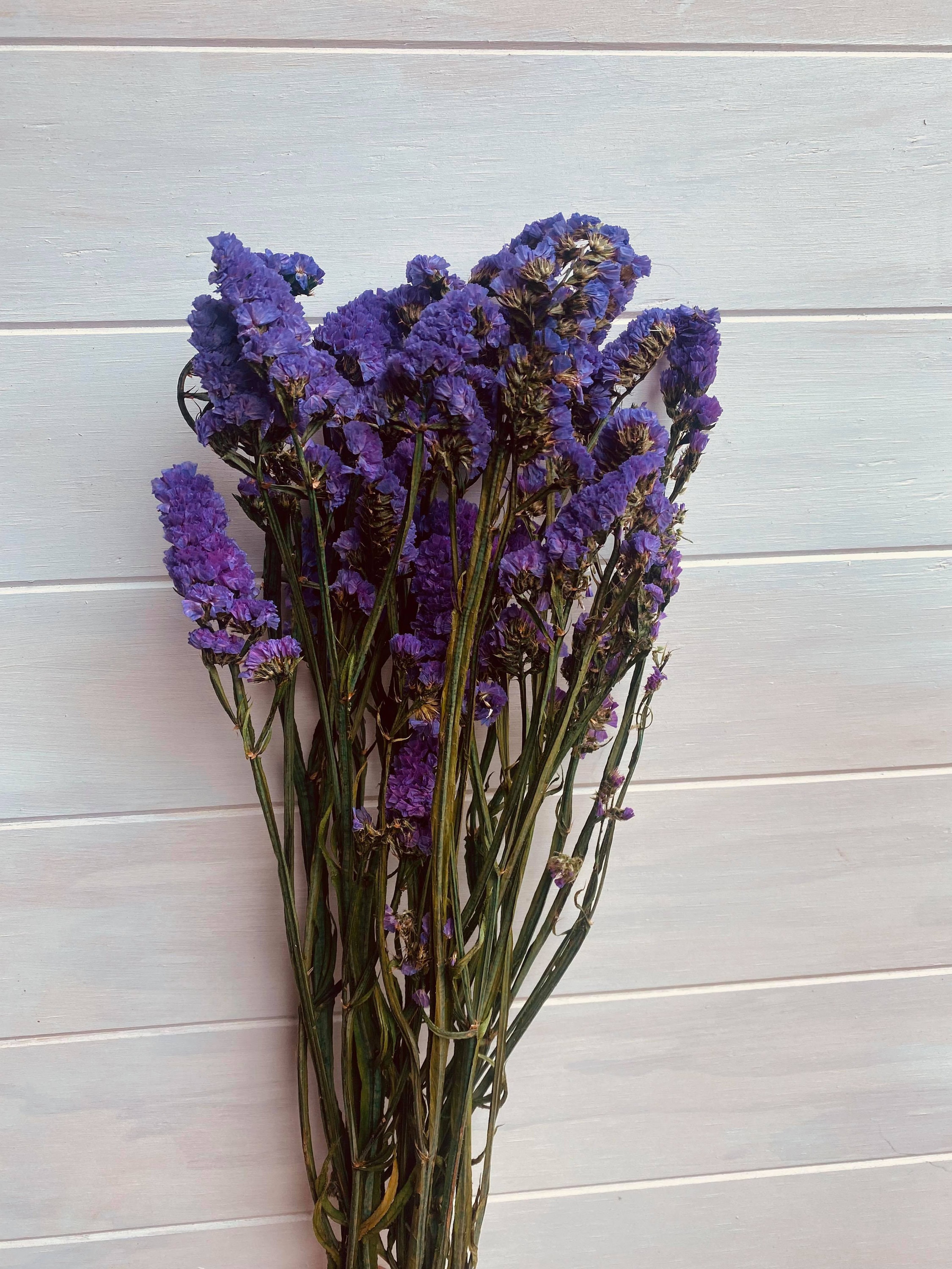 Preserved and Dried Deep Purple Statice / Dried Statice Flowers / Dried ...