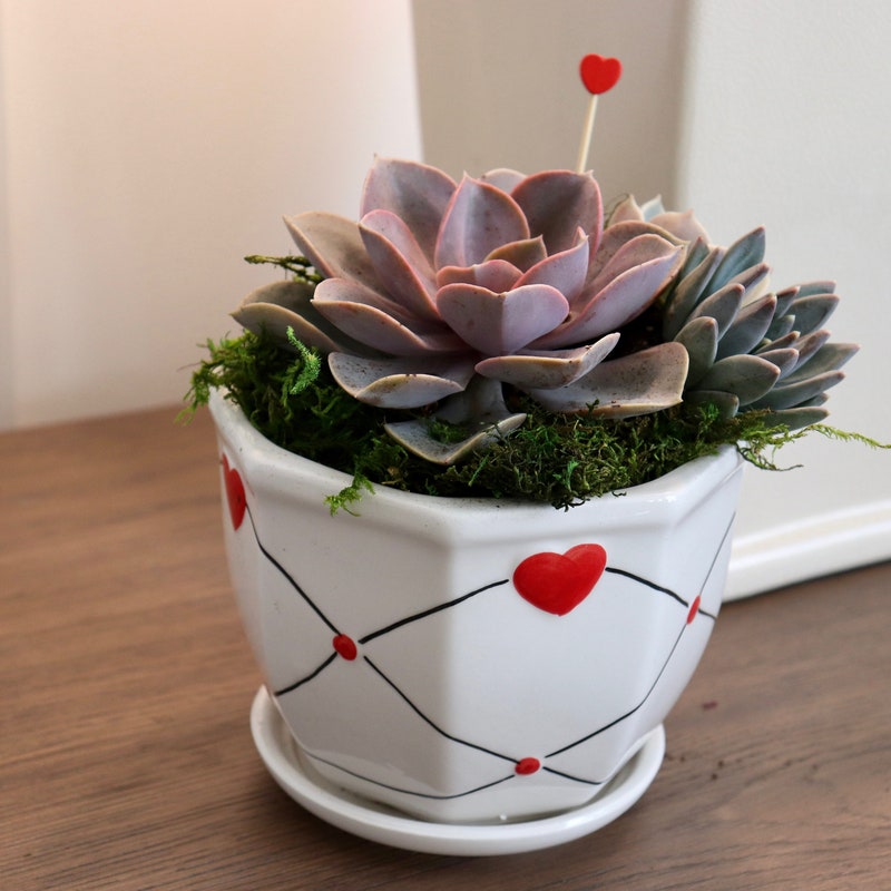 Valentine Planter - Etsy