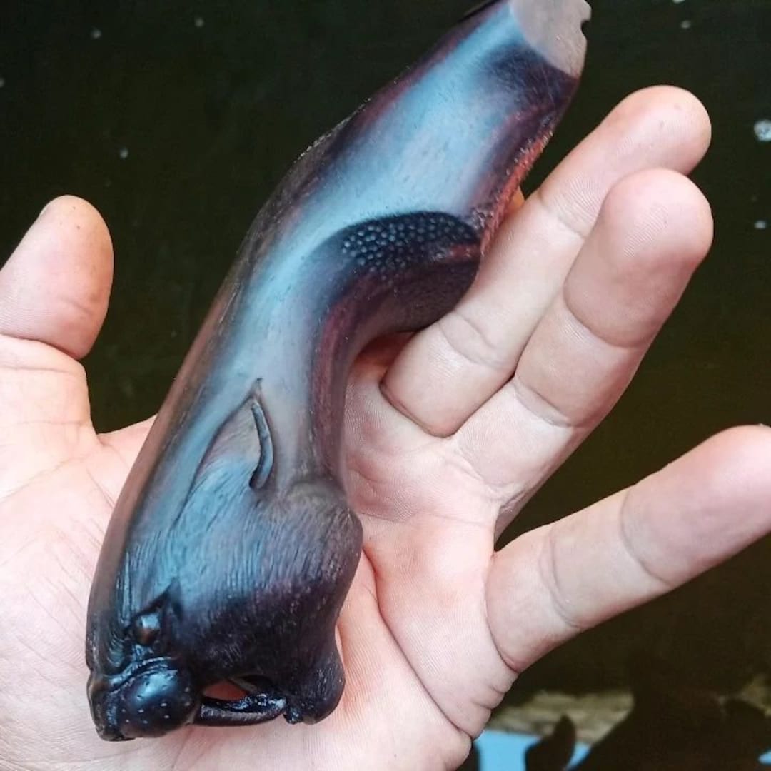 Handmade Slingshot / Wooden Toys / Jaguar Slingshot / Gift - Etsy