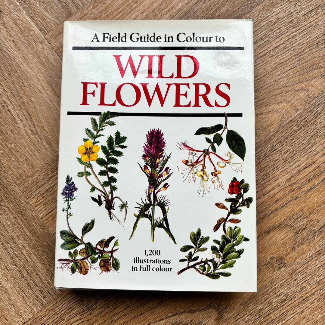 A Field Guide in Colour to Wild Flowers - Etsy