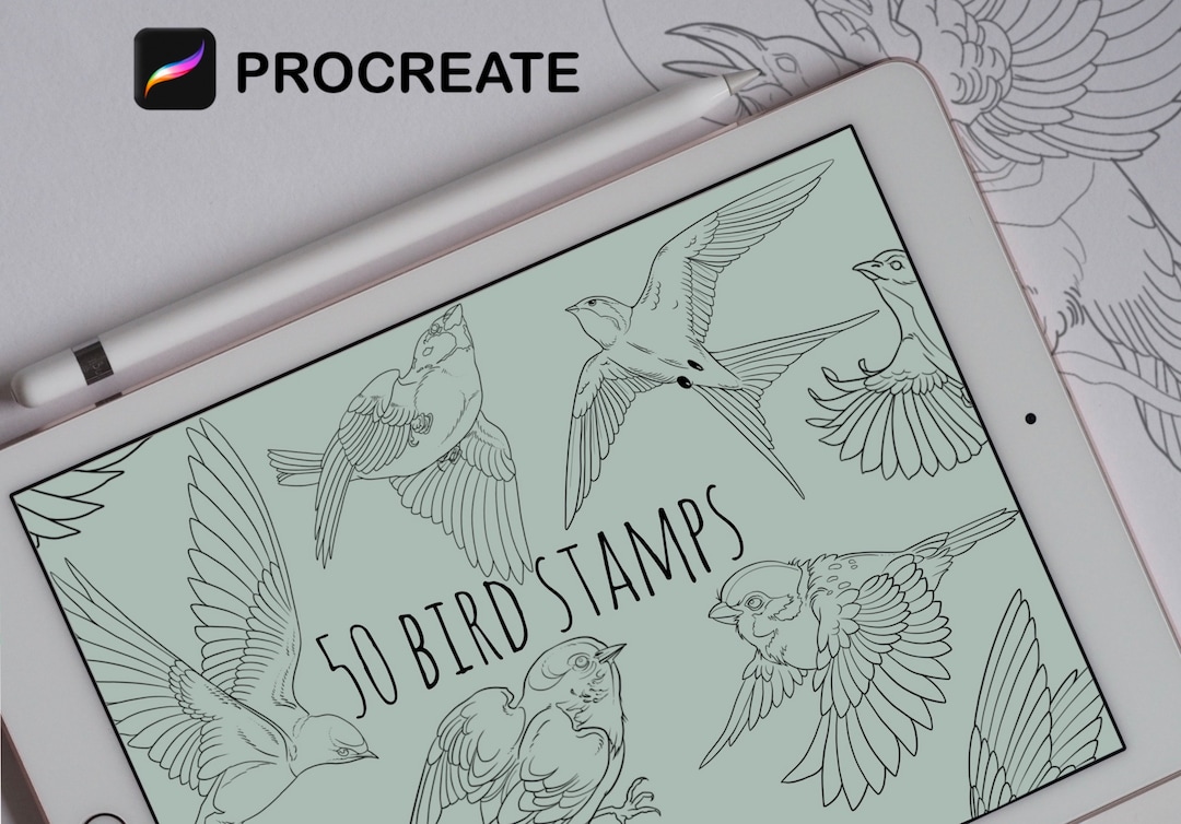 50 Bird Procreate Stamps, Small Bird and Bird of Prey Brush Set - Etsy