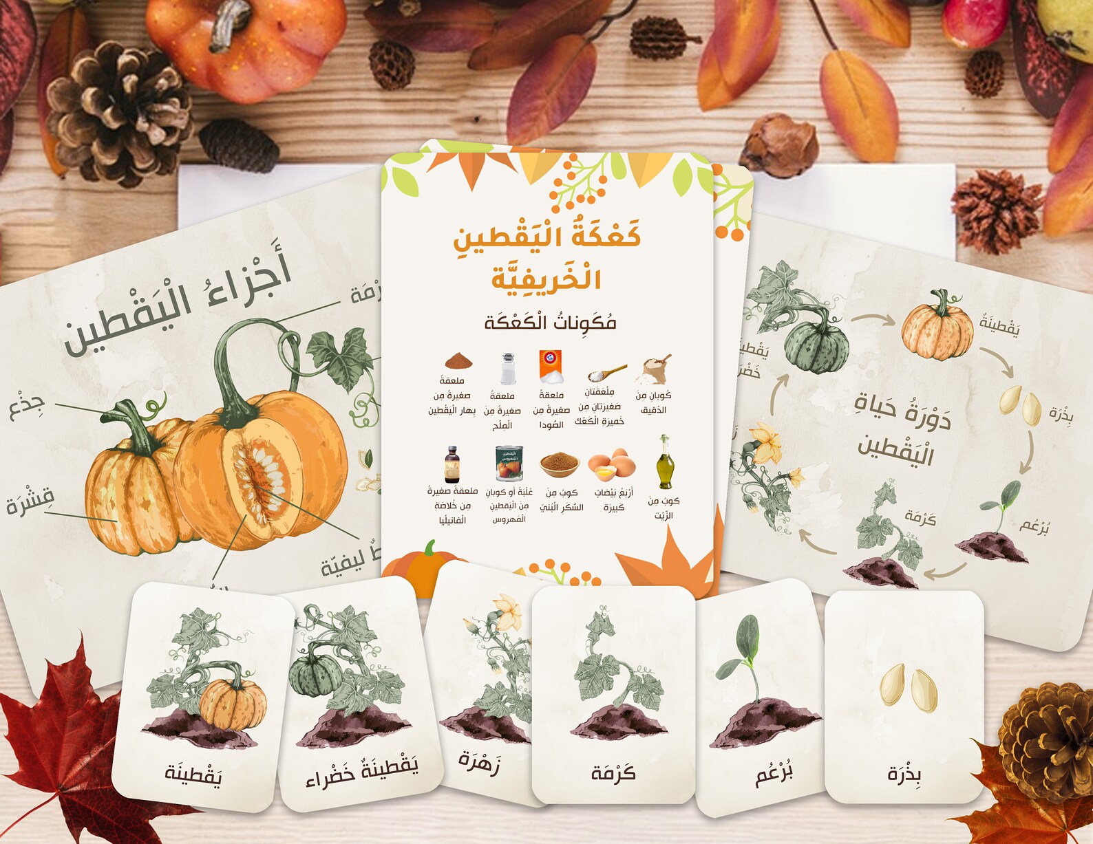 ARABIC Pumpkin Bundle/unit Study, Pumpkin Anatomy, Fall, Autumn, Flash ...