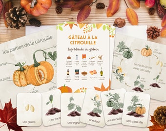 ARABIC VEHICLES Poster & Cards Bundle, Montessori Cards, Flash Cards ...