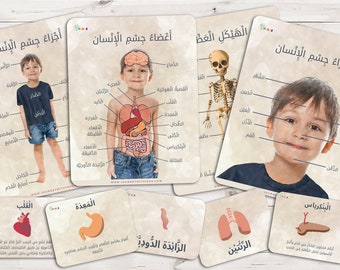 Body Parts Memory Cards - Etsy