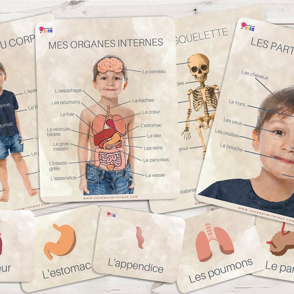 French Body Parts Poster - Etsy