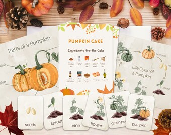 ARABIC VEHICLES Poster & Cards Bundle, Montessori Cards, Flash Cards ...