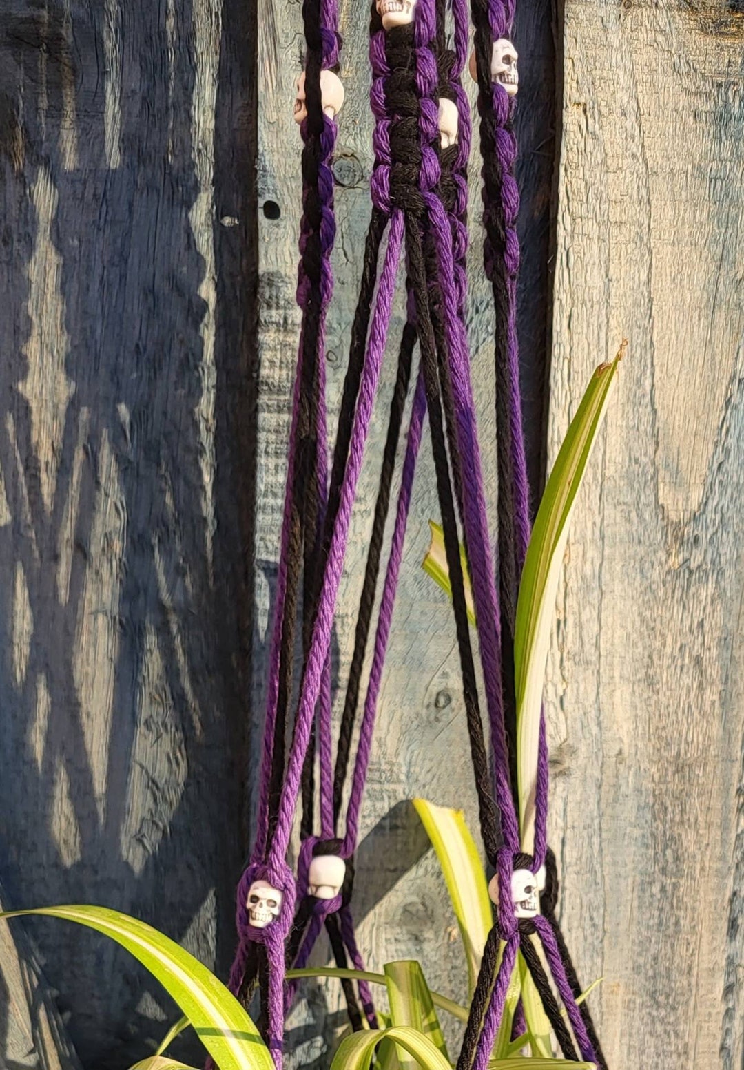 Macrame Skull Plant Hanger Purple and Black - Etsy