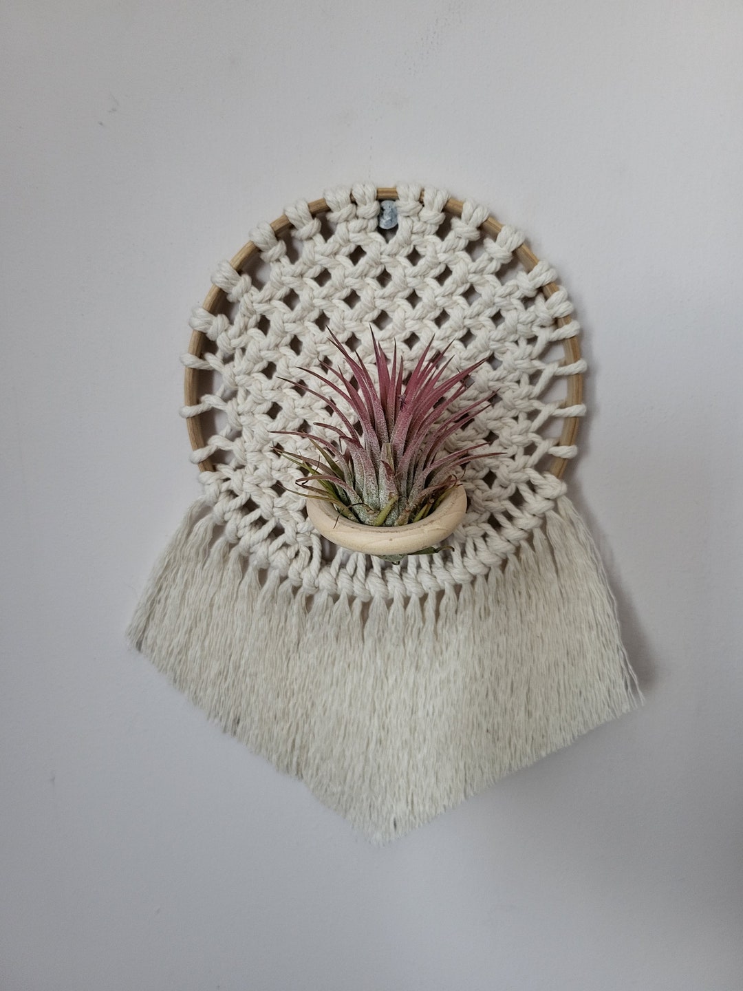 Mini Macrame Air Plant Hanger - Etsy