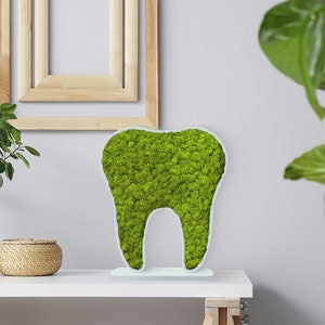 Moss Wall Art, Reindeer Moss Tooth, Dentist Moss Wall Art Decor ...