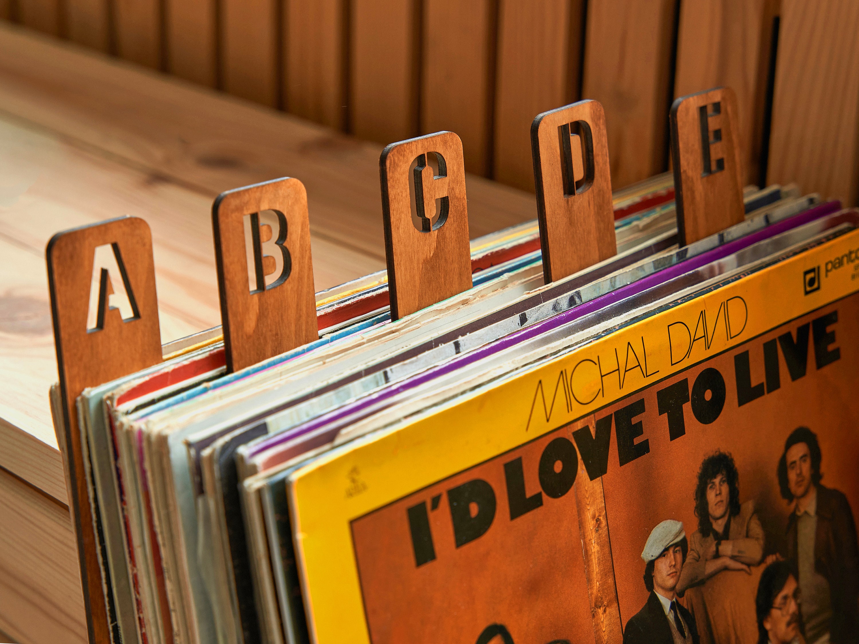 Record Dividers, Vertical for Vinyl Organization, Vinyl Record Dividers ...