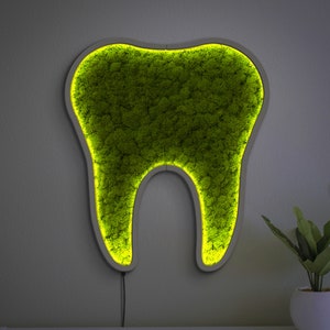 Moss Wall Art With LED, Reindeer Moss Tooth, Dentist Gift, Desk Moss ...