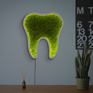 Moss Wall Art With LED, Reindeer Moss Tooth, Dentist Gift, Desk Moss ...